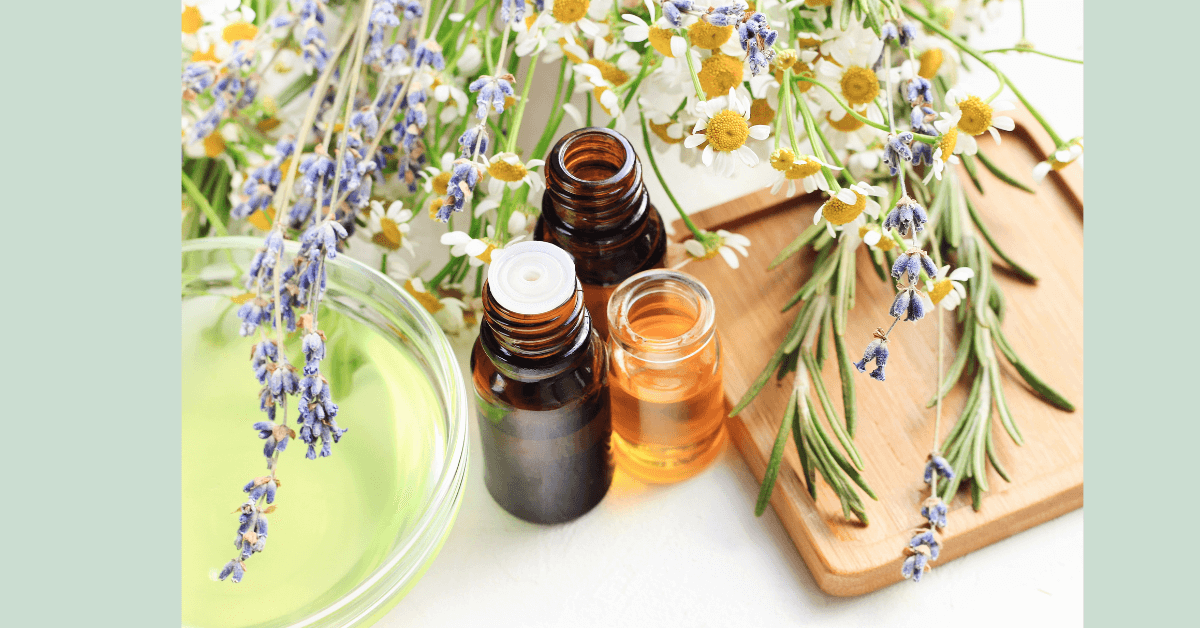 Shefa Site | Mentoria de Salud Integral & Holistica
